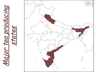 Map syllabus (10).pdf