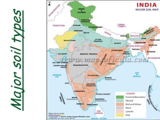 Map syllabus (10).pdf