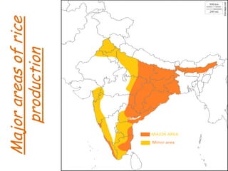 Map syllabus (10).pdf