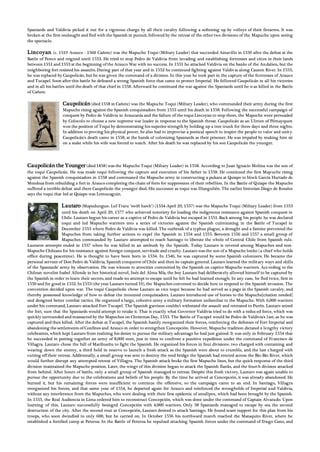 Mapuche indians | DOCX