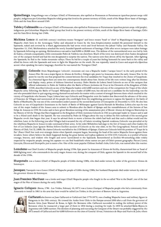 Mapuche indians | DOCX