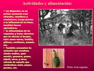 Mapuches | PPS