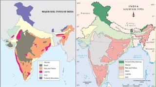 MAP WORK. for class 10 CBSE standard 10 for cbse | PPTX