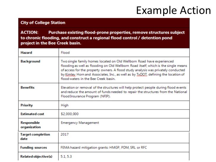 Mitigation Action Plan