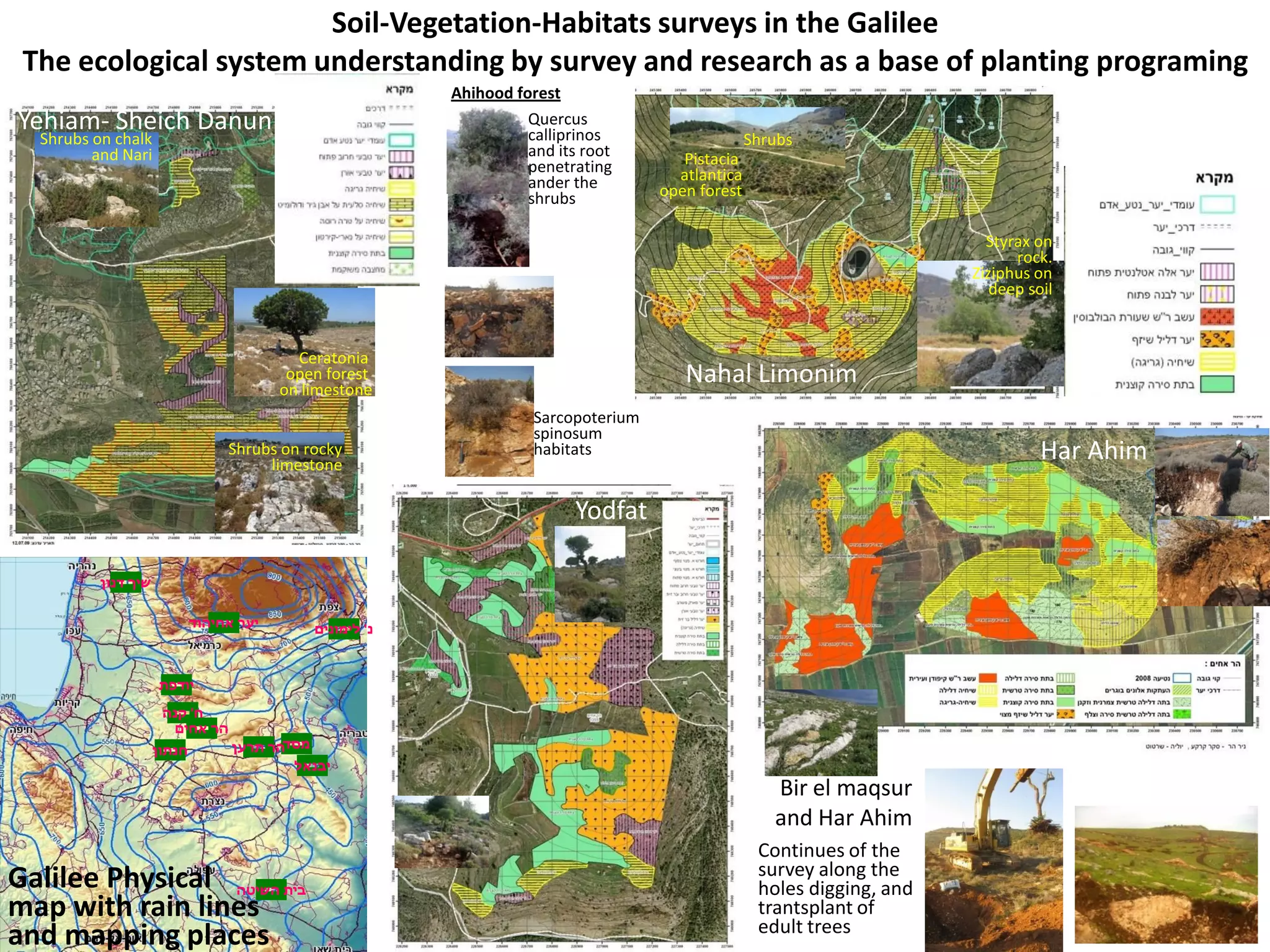 Habitats of forest mauis and natural vegetation in Israel | PDF