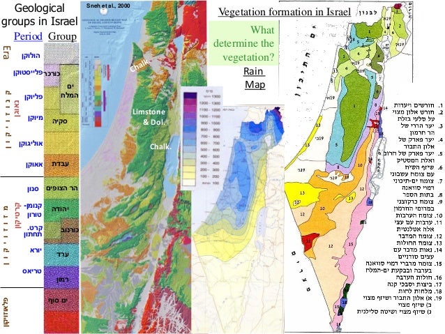 Habitats of forest mauis and natural vegetation in Israel