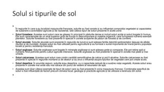Maquisul Francez2222222222222222222.pptx