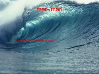 Mar | PPT