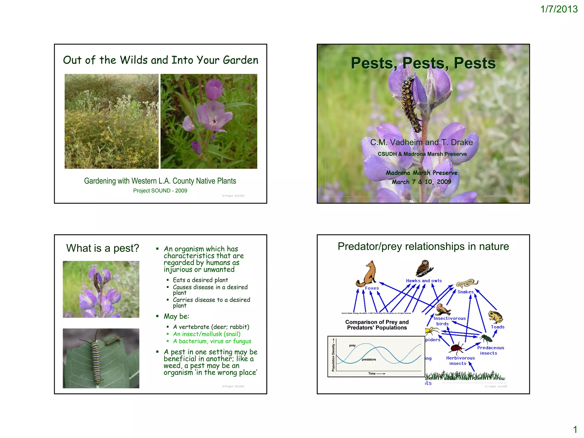Garden Pests - notes | PDF | Agriculture | Industries