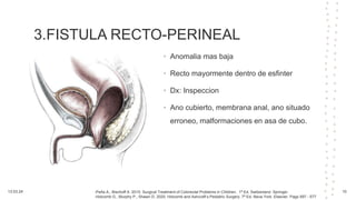 Malformaciones Anorrectales 1234567.pptx