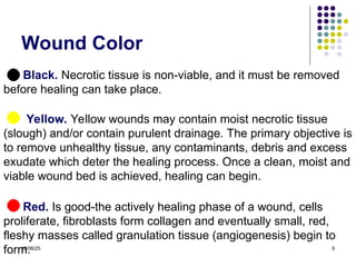 wounds and dressings global perspective. | PPT