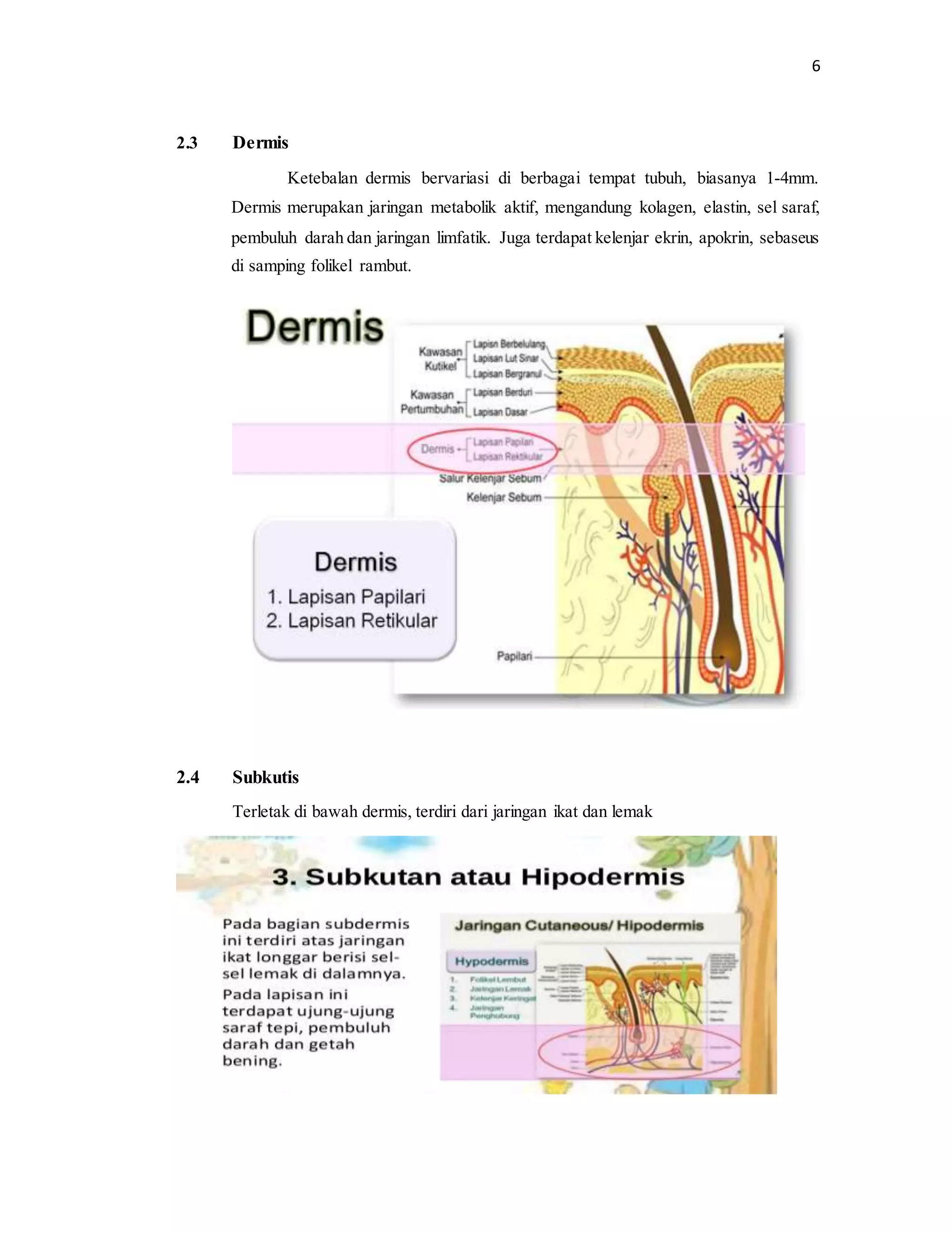penyakit pada kulit | DOCX