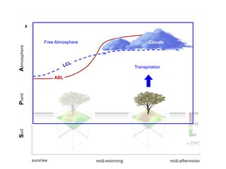 Soil Plants Atmosphere dynamics | PDF