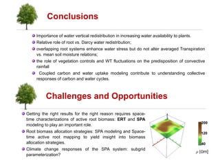 Soil Plants Atmosphere dynamics | PDF