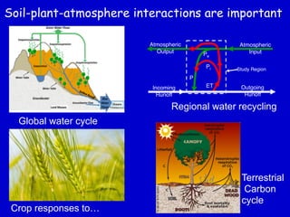 Soil Plants Atmosphere dynamics | PDF