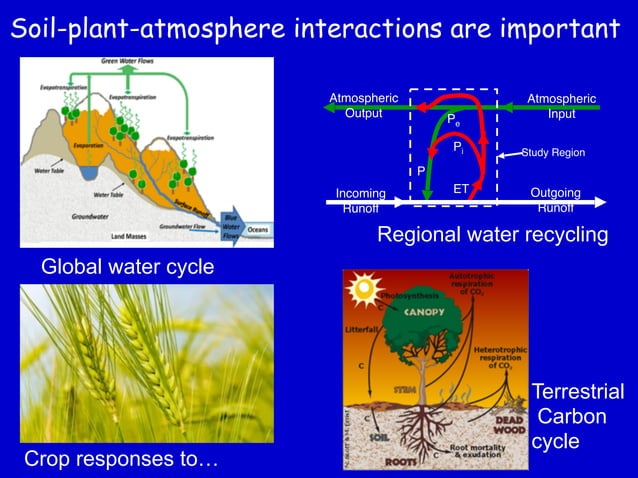 Soil Plants Atmosphere dynamics | PPT
