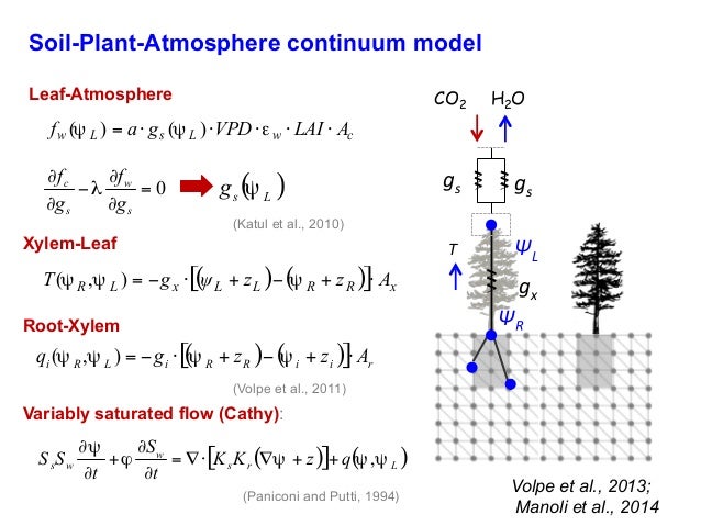 Soil Plants Atmosphere dynamics