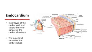 Marantic Endocarditis.pptx