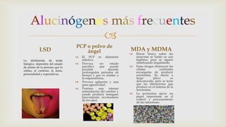 Tipos de alucinogenos | PPTX