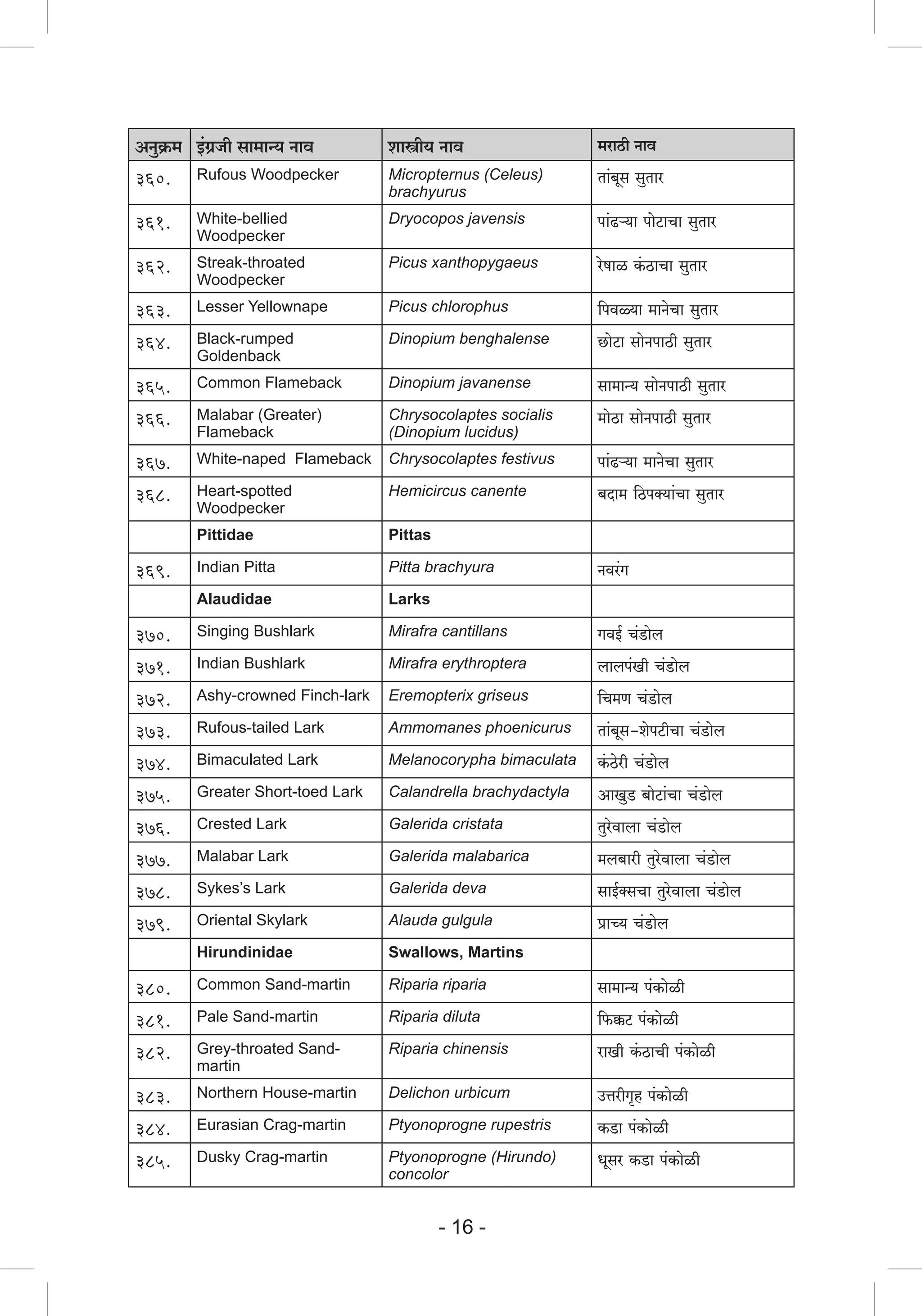 Marathi bird names bnhs and maharashtra pakshi mitra 2016 | PDF