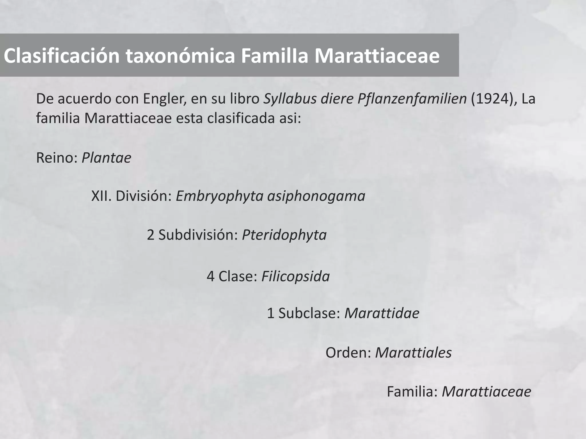 Marattiaceae-botanica sistematica-expo #1-2013 | PPTX