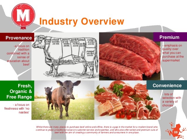 Marbled zesty frog final