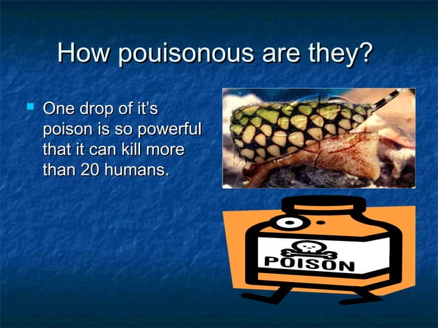 Marbled cone snail | PPT