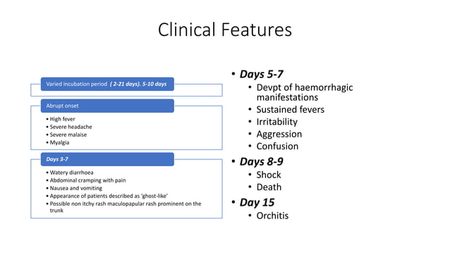Marbug Viral Disease.pptx