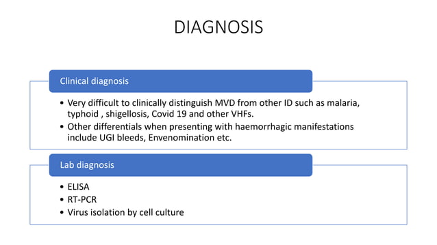 Marbug Viral Disease.pptx
