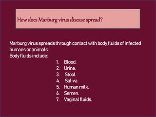 Marbug Virus disease and treatment slideshare | PPTX