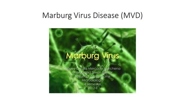 Marburg Virus Disease MVD PPT-MRRH.pptx | Infectious Diseases | Diseases and Conditions