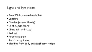 Marburg Virus Disease MVD PPT-MRRH.pptx