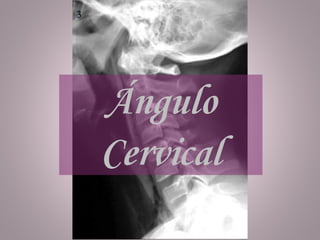 Marcaciones Columna Cervical - 2A - 3.pdf