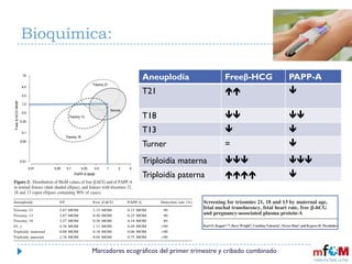 Marcadores ecográficos del primer trimestre y cribado combinado | PDF