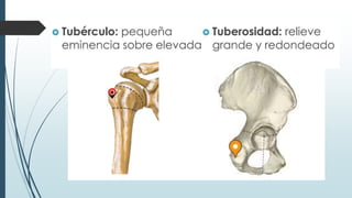 MARCAS ÓSEAS O RELIEVES.pptx