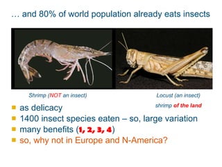 Marcel Dicke at TEDx Amsterdam Why Not Eat Insects | PPT