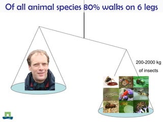 Marcel Dicke at TEDx Amsterdam Why Not Eat Insects | PPT