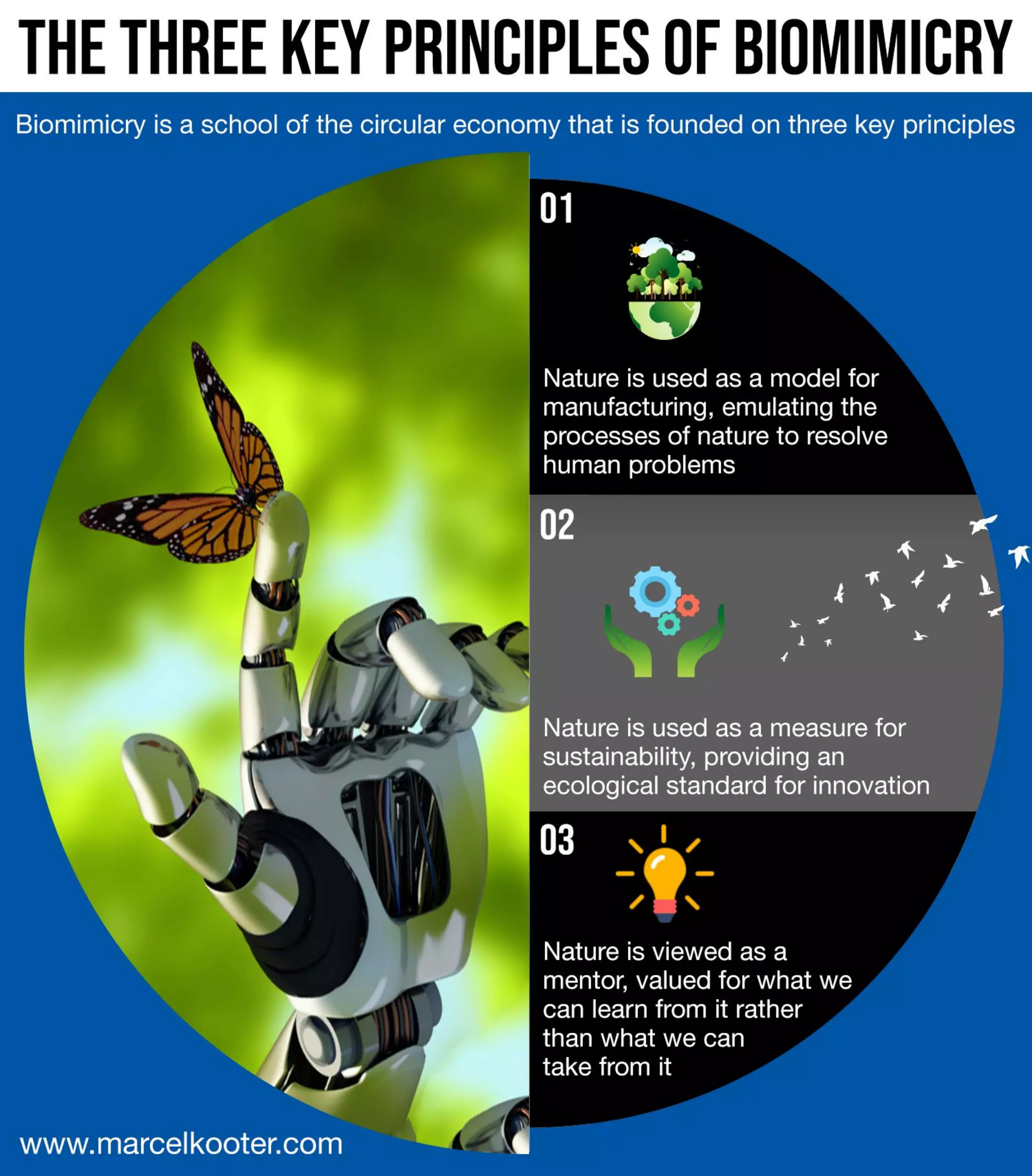 The Three Key Principles of Biomimicry | PDF