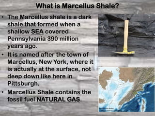 Marcellus Shale | PPT