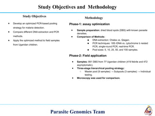 PCR based pooling strategy for malaria study. | PPT