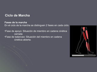 Marcha | PPT