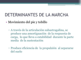 MARCHA y su estudio de la mecánica corporal | PPTX
