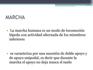 MARCHA y su estudio de la mecánica corporal | PPTX