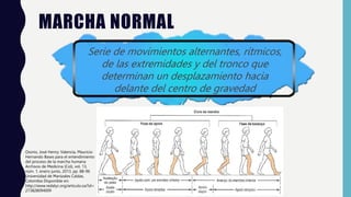 GENERALIDADES DE LA MARCHA y marcha anormal | PPTX