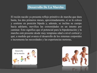 marcha (2).pptx