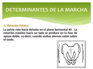 MARCHADIAGNOSTICO FUNCIONAL fisioterapia | PPTX