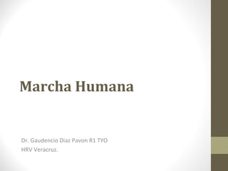 Marcha humana | PPT