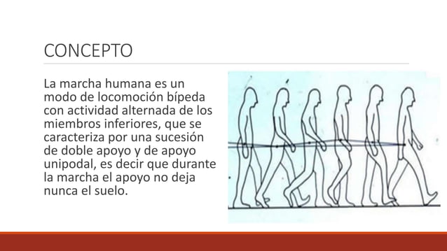 Marcha humana | PPTX