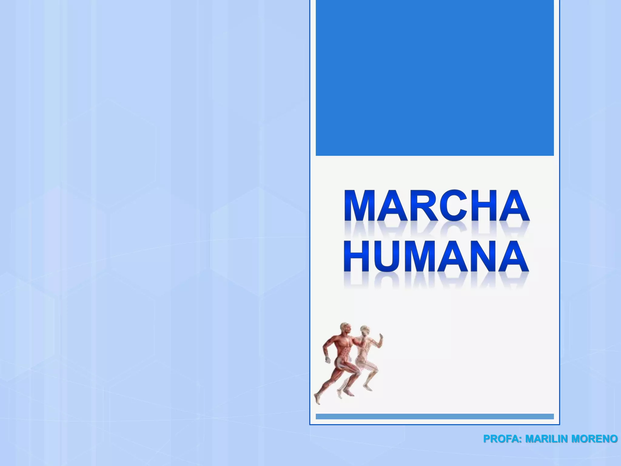 Marcha humana | PPT