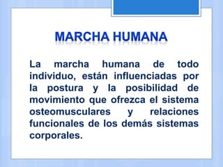 Marcha humana | PPTX